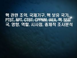 핵 관련 조약, 국제기구, 핵 보유 국가, PTBT, NPT, CTBT, CPPNM, IAEA, 핵 보유국, 영향, 역할, 시사점, 총체적 조사분석-1페이지