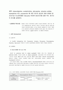 교감, 부교감 약에 따른 개구리 동공 변화 실험-1페이지