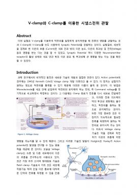 [전기생리학 실험] v-clamp와 c-clamp를 이용한 시냅스전위 관찰-1페이지
