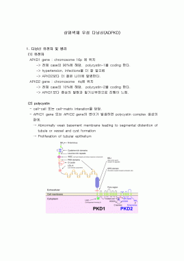 상염색체 우성 다낭신-1페이지