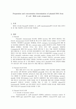 [생화학 실험보고서] E coli의 DNA 플라스미드 추출 및 농도 측정 실험-1페이지
