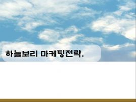 웅진 하늘보리 브랜드분석및 마케팅 STP,4P전략분석-1페이지