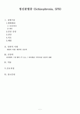 정신분열 간호진단-1페이지