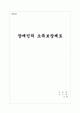 장애인의 소득보장제도-1페이지