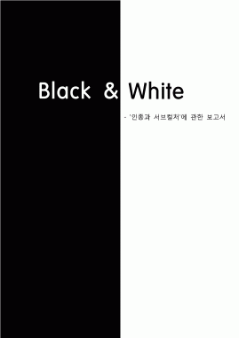 ‘인종과 서브컬처’에 관한 보고서  -1페이지