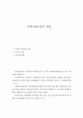 지역사회수준의 개입-1페이지