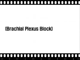 BPB (Brachial Plexus Block)-1페이지