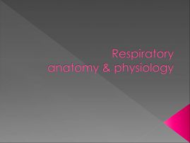 Respiratory 레포트 자료-1페이지