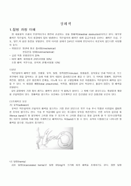 장폐색 레포트 자료-1페이지