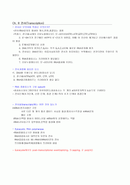 유전자의 이해-1페이지