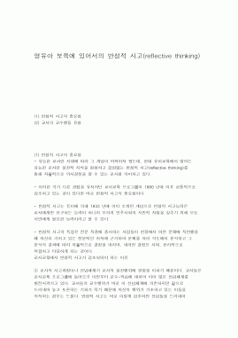 영유아 보육에 있어서의 반성적 사고-1페이지