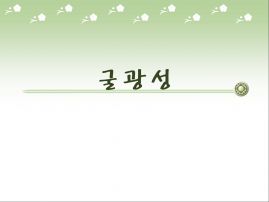 굴광성_(식생발표)-1페이지
