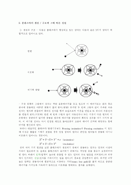 plasma 레포트 자료-1페이지