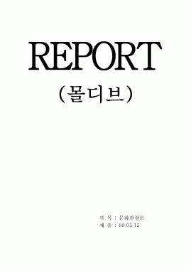관광문화교류,관광연구계발사례-몰디브-1페이지