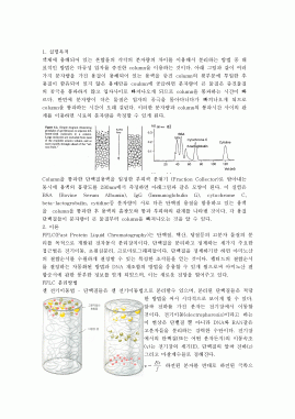 분리정제 FPLC (결과)-1페이지