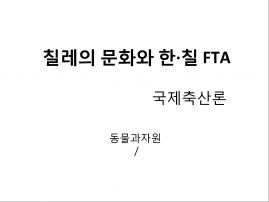 칠레 문화와 fta통합-1페이지
