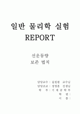 [사회과학] 선운동량 보존법칙 -1페이지