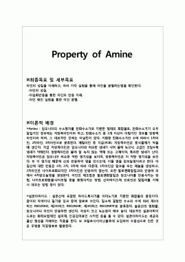 (예비) 아민 (Property of Amine)-1페이지