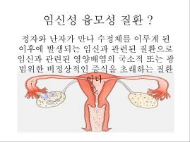 H-mole , 포상기태 .ppt-1페이지