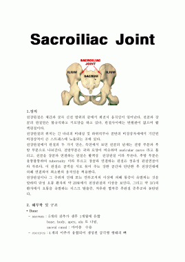 스포츠 선수의 천장관절(Sacroiliac Joint)의 전반적인 이해 및 손상,치료,재활-1페이지