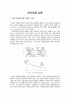 [공학/컴퓨터/통신] 관로마찰 실험-1페이지