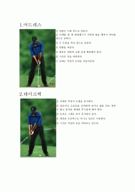 골프 스윙자세분석 - 어드레스, 테이크백, 하프스윙, 탑스윙, 다운스윙, 임팩트, 팔로우 스윙-1페이지