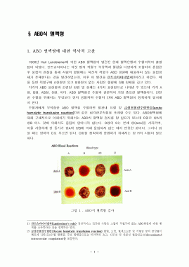 abo식 혈액형 레포트 자료-1페이지