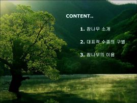참나무 (대표적 수종의 구별, 참나무의 이용).PPT자료-1페이지