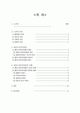 재가노인복지의 개념과 복지사업-1페이지