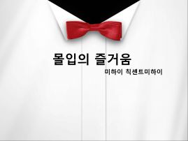 몰입의_즐거움-1페이지
