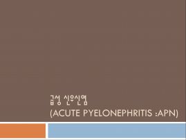APN 레포트 자료-1페이지