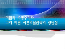기업의 수명주기와 그에 따른 자본조달전략의 장단점,기업수명주기,자본조달전략,기업사례분석-1페이지