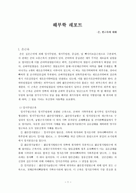 [해부학] 손, 발 근육에 대해-1페이지