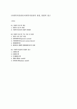 (사회복지실천론)사회복지실천의 관점, 통합적 접근-1페이지