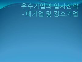 우수기업의 입사전략,대기업입사전략,강소기업입사전략,포스코입사전략,삼성입사전략,산학장학생,한국은행입사전략,금융감독원입사전략-1페이지