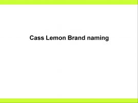 Cass Lemon Brand naming - 카스(cass)레몬 마케팅전략 및 리네이밍,뉴네이밍,리네임.PPT자료-1페이지