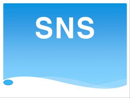 SNS,SNS비즈니스모델,SNS분석,트위터,트위터분석,트위터마케팅-1페이지