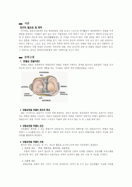 os 케이스 스터디 MM&LM tear knee RT(오른쪽 무릎 내측 반월상연골, 외측 반월상연골 파열)  -1페이지