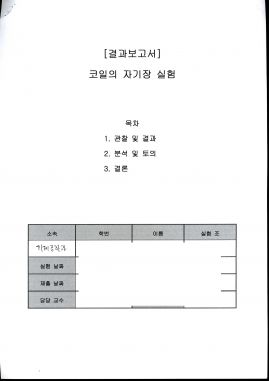 물리 실험 코일의자기장 실험[결과]-1페이지