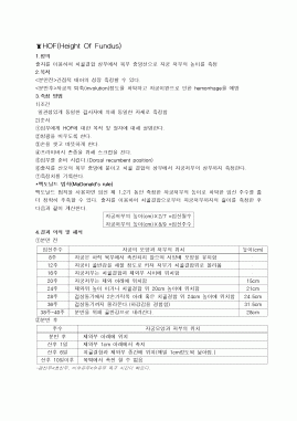 HOF(최종) 레포트 자료-1페이지