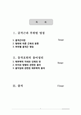 골격근과 부위별명칭,골격근,동작표현,해부학적자세와인체의면, 골격근이란, 동작표현의 용어정리-1페이지