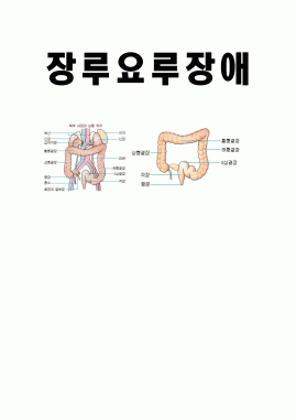 장루요루 장애-1페이지