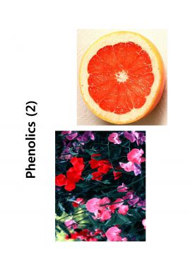 phenolics(2) 레포트 자료-1페이지