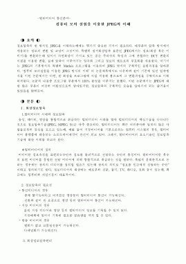멀티미디어 통신 - 컴퓨터 모의 실험을 이용한 JPEG의 이해-1페이지