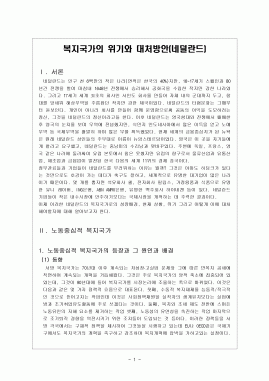 [복지국가론] 복지국가의 위기와 대처방안 - 네덜란드-1페이지