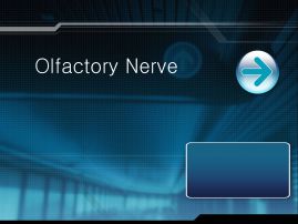 [뇌신경] 후신경[Olfactory Nerve]에 관해-1페이지