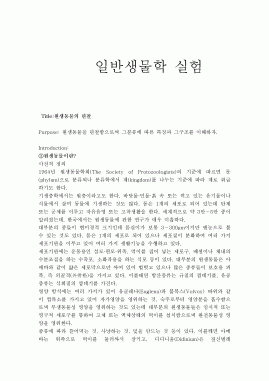 일반생물학 - 원생동물의 관찰-1페이지