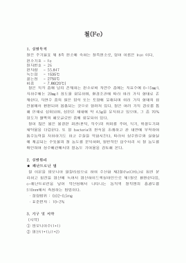 수질분석 실험 - 철[Fe]의 농도를 구하는 실험-1페이지