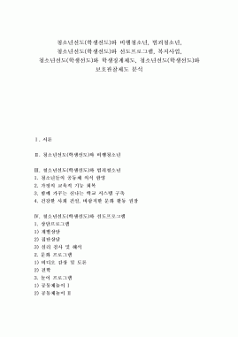 [청소년선도, 학생선도]청소년선도(학생선도)와 비행청소년, 범죄청소년, 청소년선도(학생선도)와 선도프로그램, 복지사업, 청소년선도(학생선도)와 학생징계제도, 청소년선도(학생선도)와 보호관찰제도 분석-1페이지