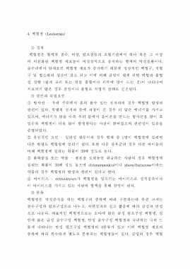 백혈병 (Leukemia)-1페이지